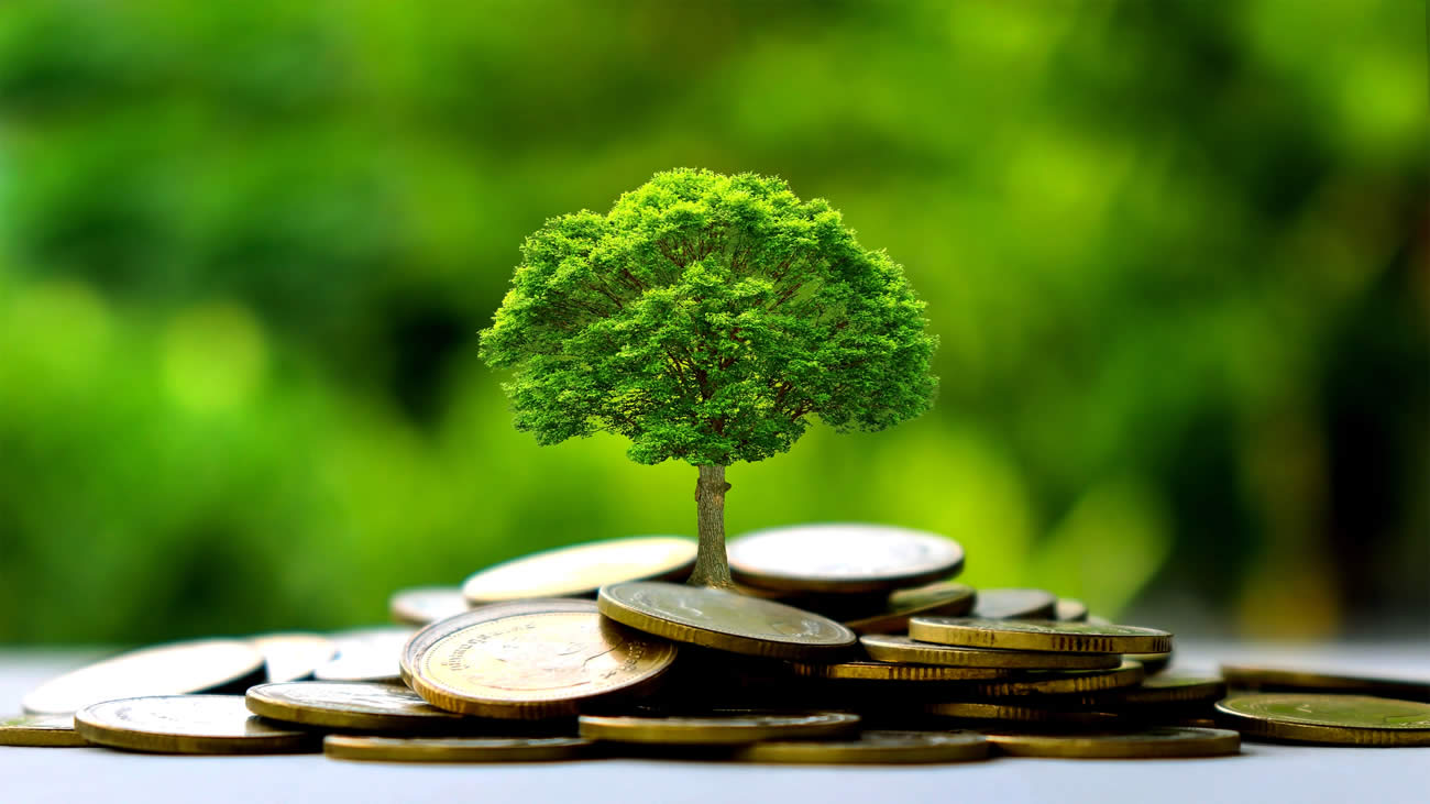 Fonds vert pour le climat des Nations Unies : 9,3 milliards de dollars ...