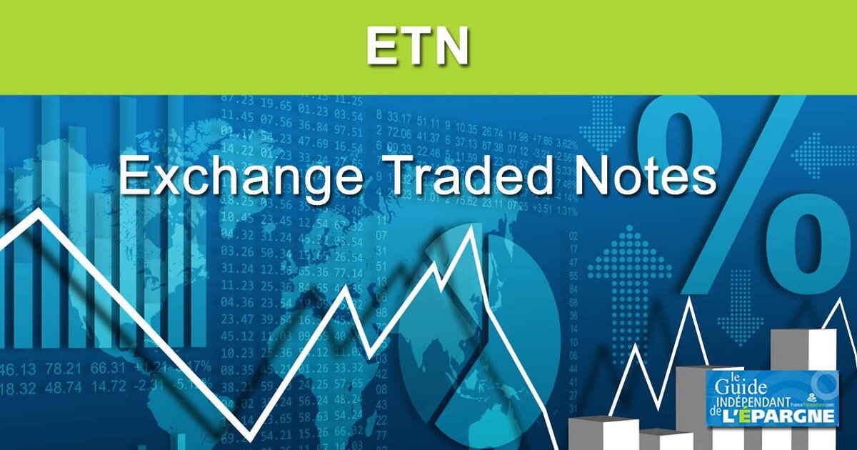 ETN (Exchange Traded Notes) - FranceTransactions.com