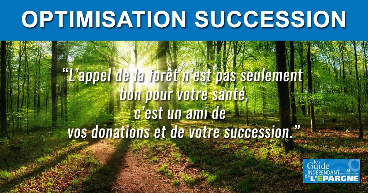 Optimisation fiscale de votre transmission de capital : pourquoi l ...