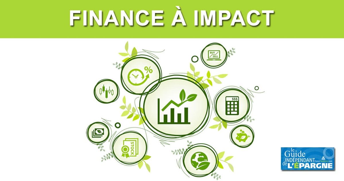 Qu'est-ce que la Finance à Impact ? Définition, lien avec l'ISR, ESG et ...