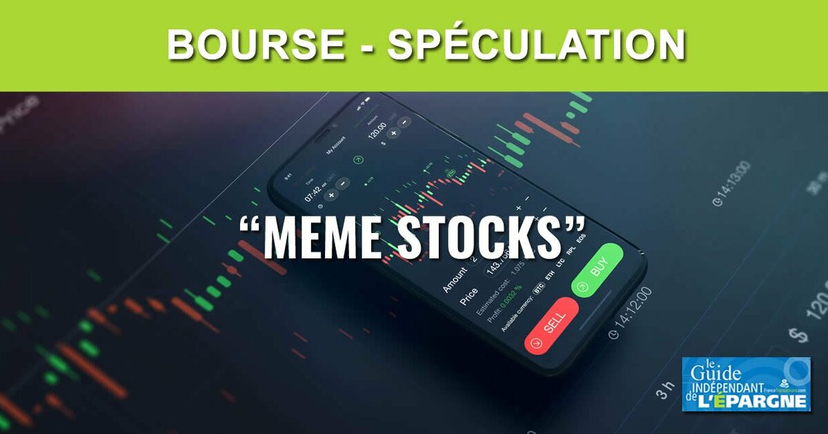 Actions Mèmes ou Meme Stock - FranceTransactions.com
