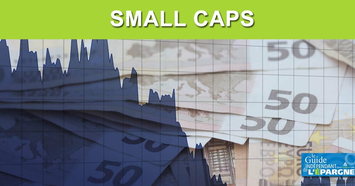 Top 5 des Small Cap visées par des fonds spéculatifs - FranceTransactions.com
