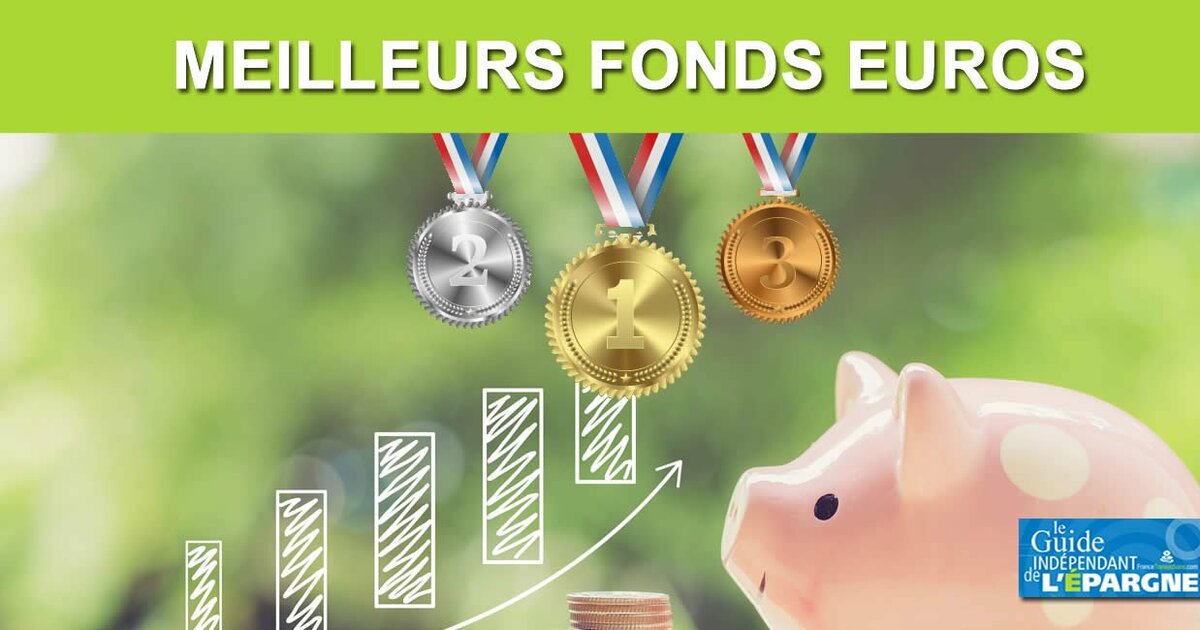 Assurance Vie 2023 : TOP 10 des fonds euros - FranceTransactions.com