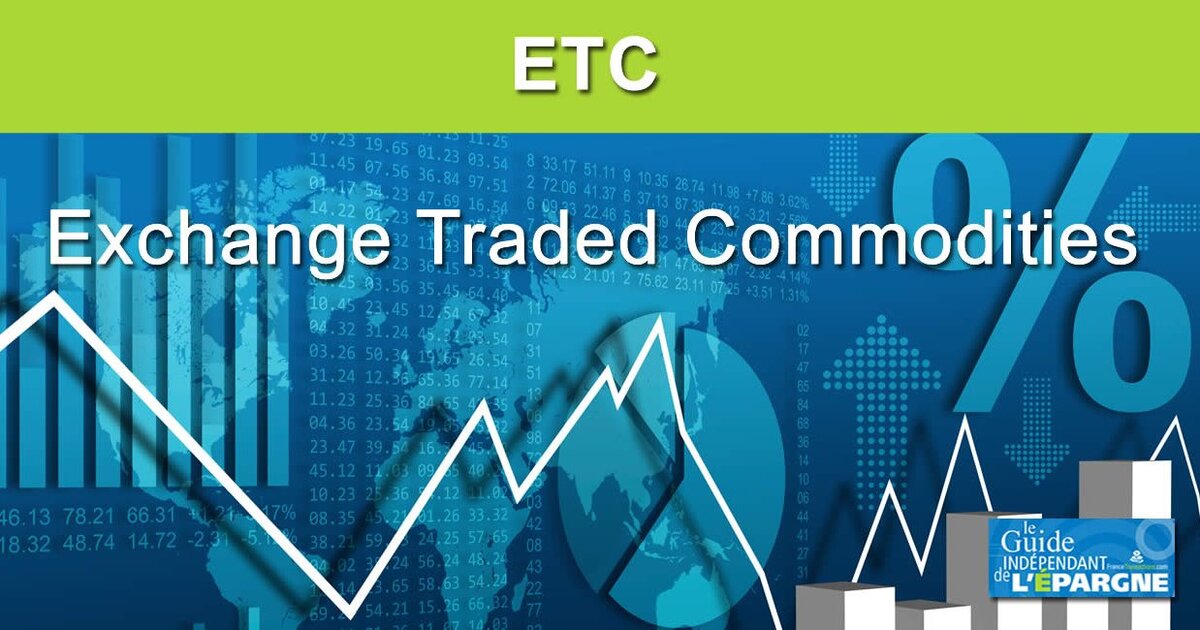 ETC (Exchange Traded Commodities) - FranceTransactions.com