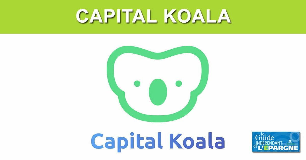 Capital Koala, la solution gratuite de cashback pour épargner pour ses ...
